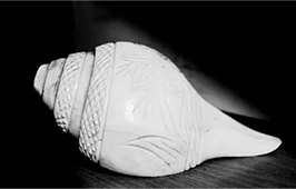 Significance of Shankh - Origin of Shankh - Types of Shankh – Eshwar Bhakti